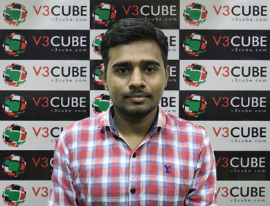 V3cube Technolabs | About Us