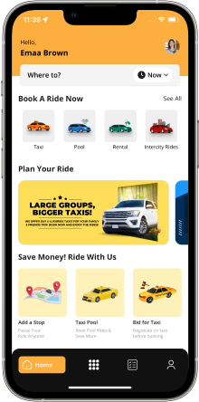 Taxi App Fleet Company Panel Visuals