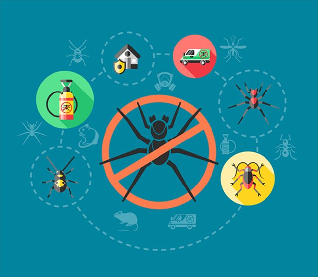 Uber for On Demand Pest Control Apps Clone - Ready to Launch - V3cube